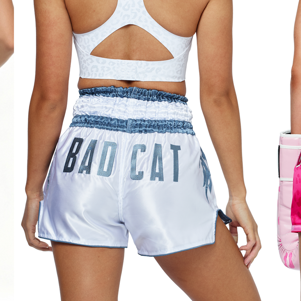 The Ultimate Guide to BAD CAT Fight Shorts